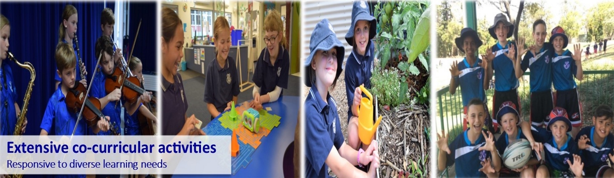 Petrie State School